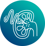 AUTOLITH® Touch System | ntisurgical.com